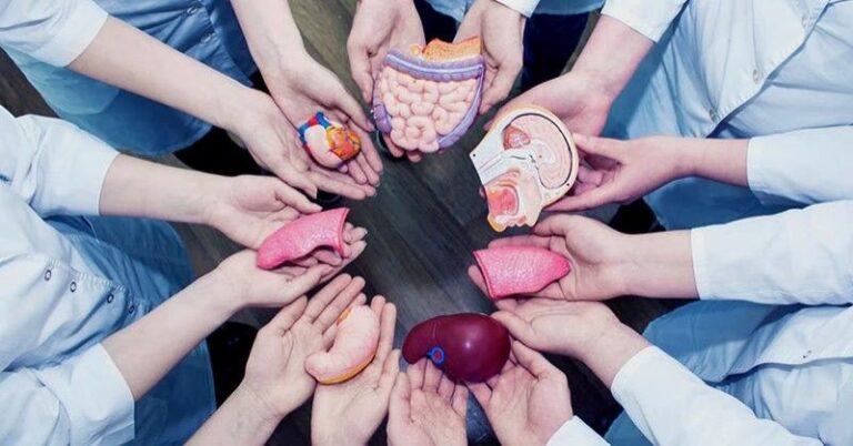 Prix greffe d'organe et de tissus en Turquie / Istanbul